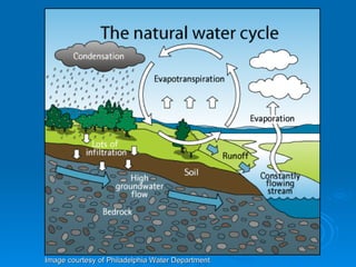 Rain Barrels and You: The why and how of using rain barrels | PPT