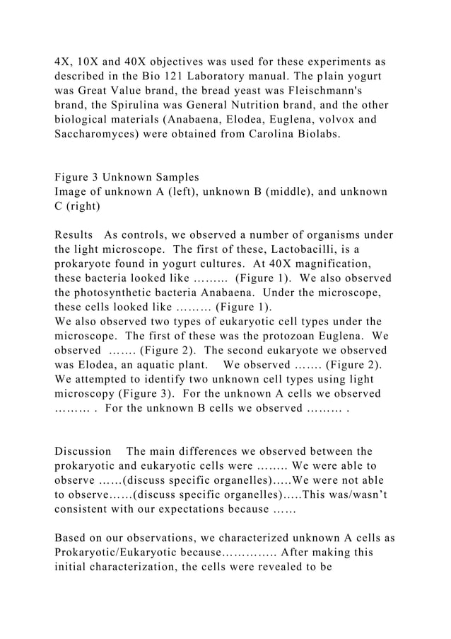 ABIO 121 Lab Report 3 Descriptive TitleC Nathan Hancock, .docx ...