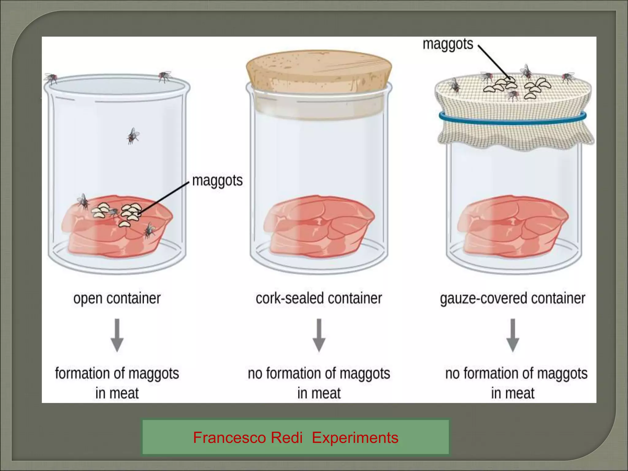 Abiogenesis and Biogenesis.pptx
