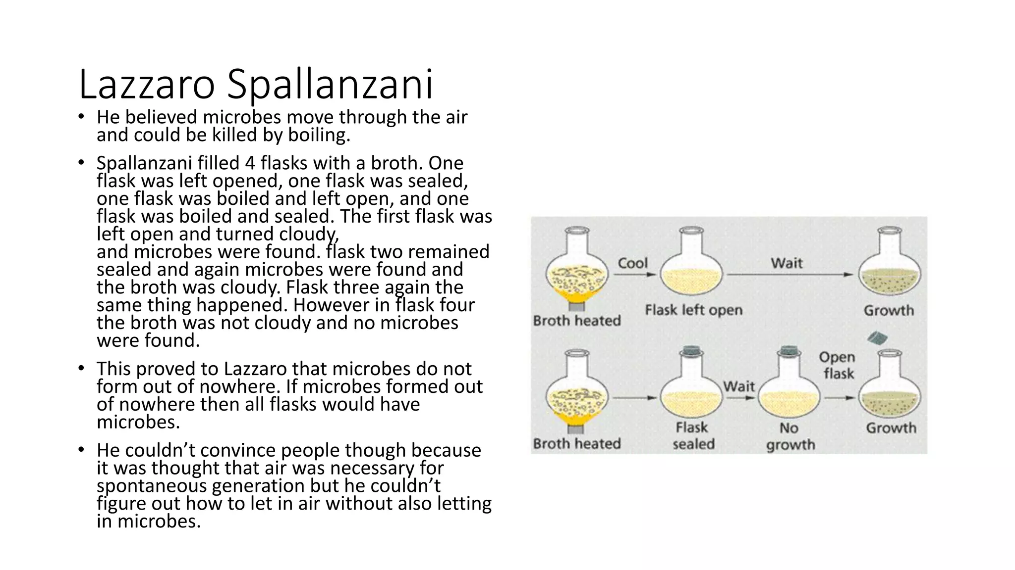 Abiogenesis and spontaneous generation | PDF