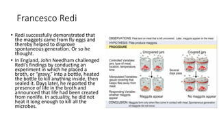 Abiogenesis and spontaneous generation | PDF