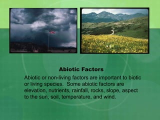 Abioitc biotic | PPT | Geography | Science