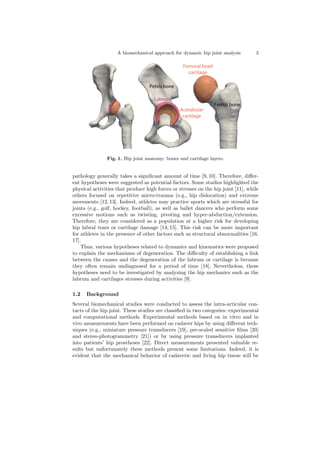 A biomechanical approach for dynamic hip joint analysis 20pp 2011 | PDF ...