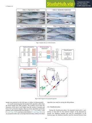 A biometric-based model for fish species classification.pdf