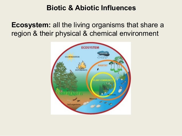 Abiotic biotic