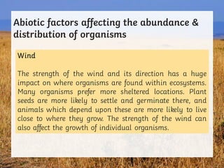 Abiotic and Biotic.pdf