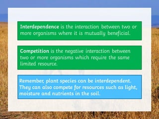 Abiotic and Biotic.pdf