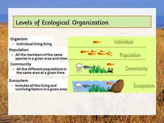 Abiotic and Biotic.pdf