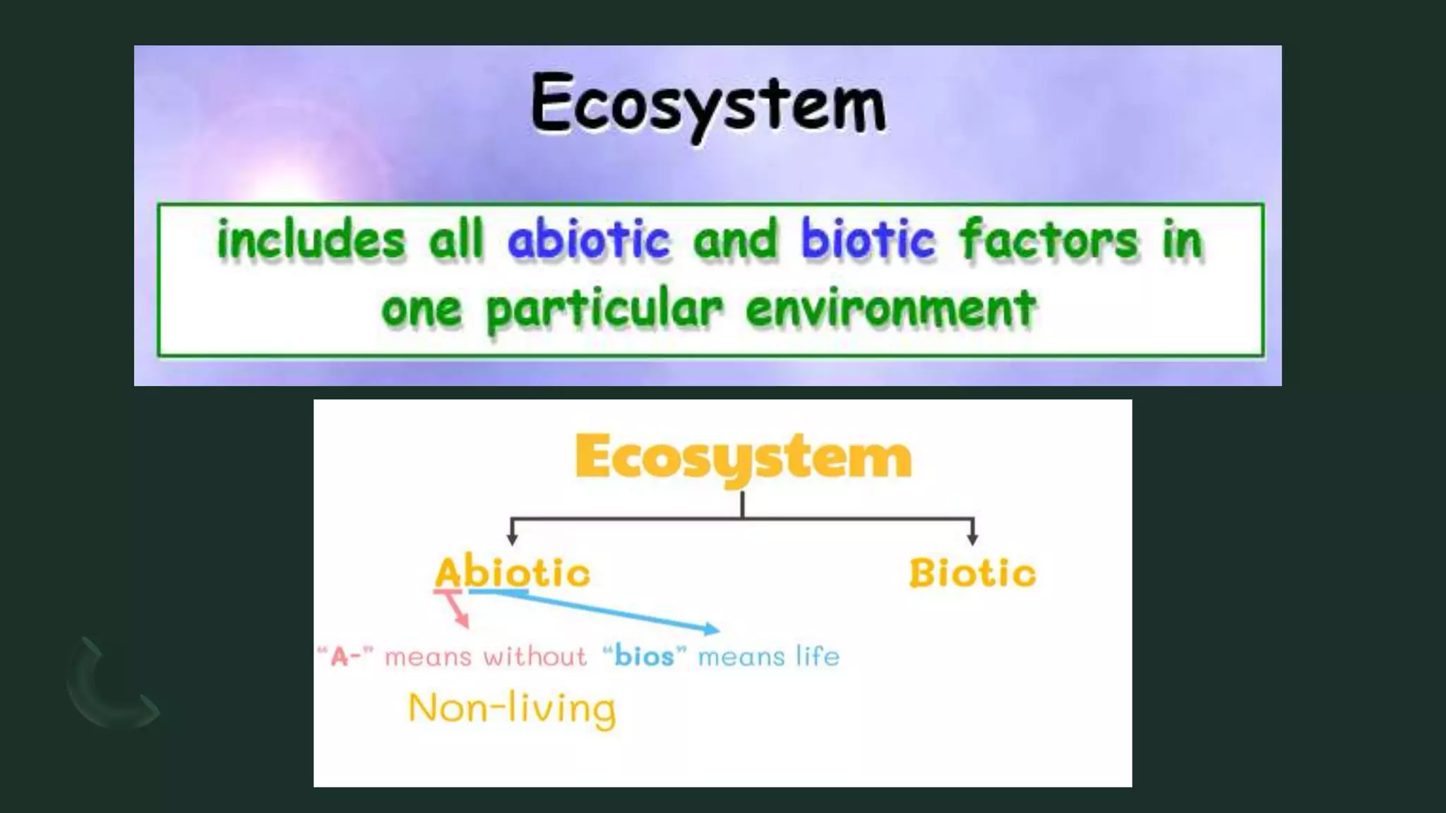 Abiotic and biotic and ecological relationship | PPTX