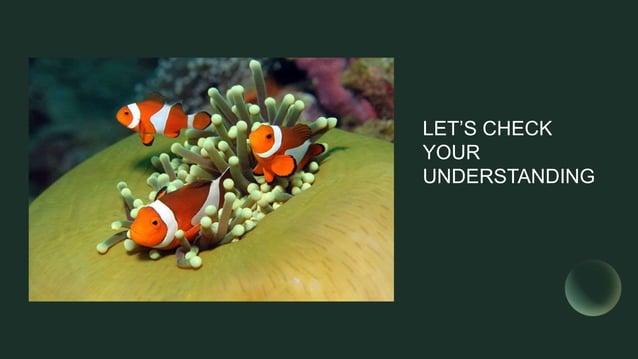 Abiotic and biotic and ecological relationship | PPTX