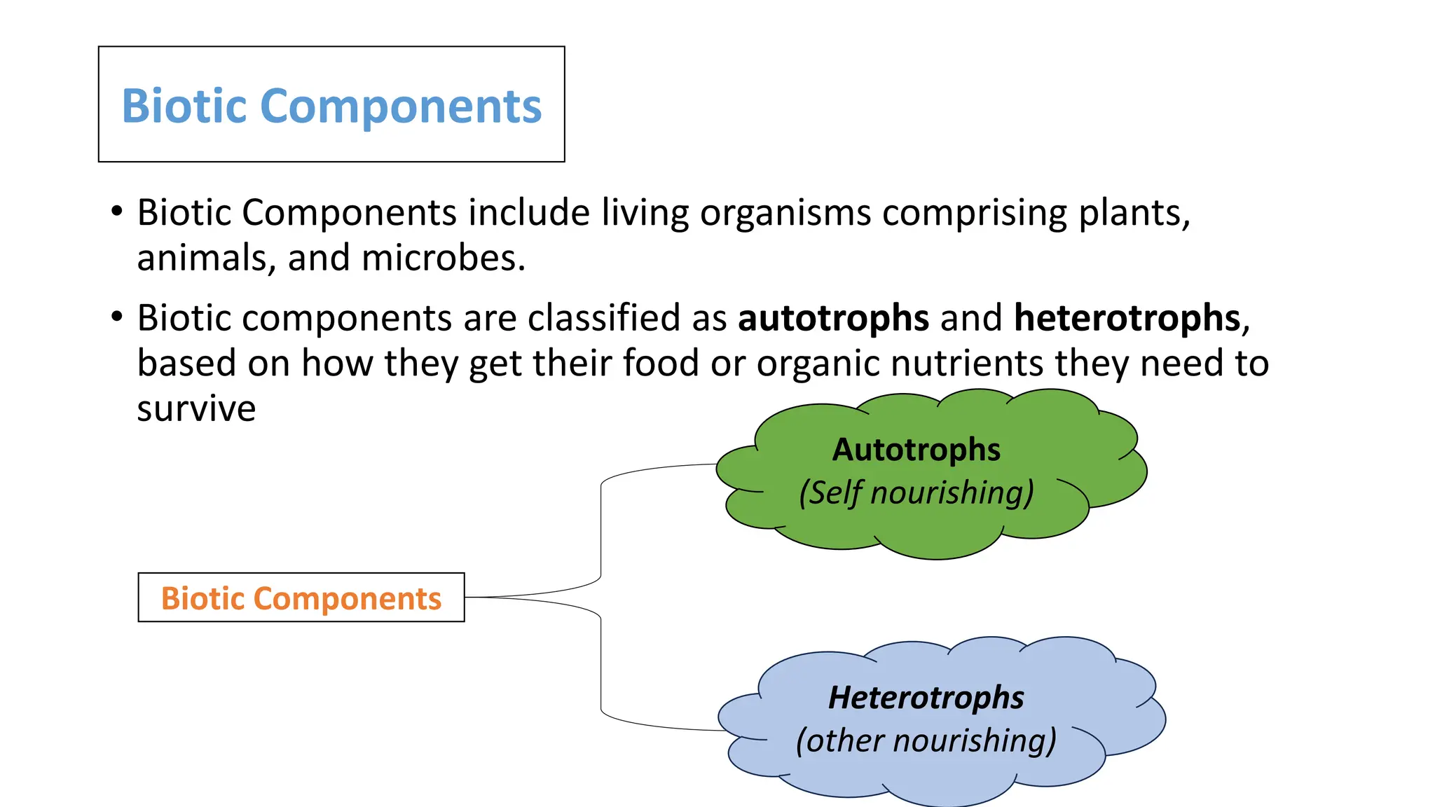 Abiotic and Biotic Components of Ecosystem by Ashish Verma.pptx