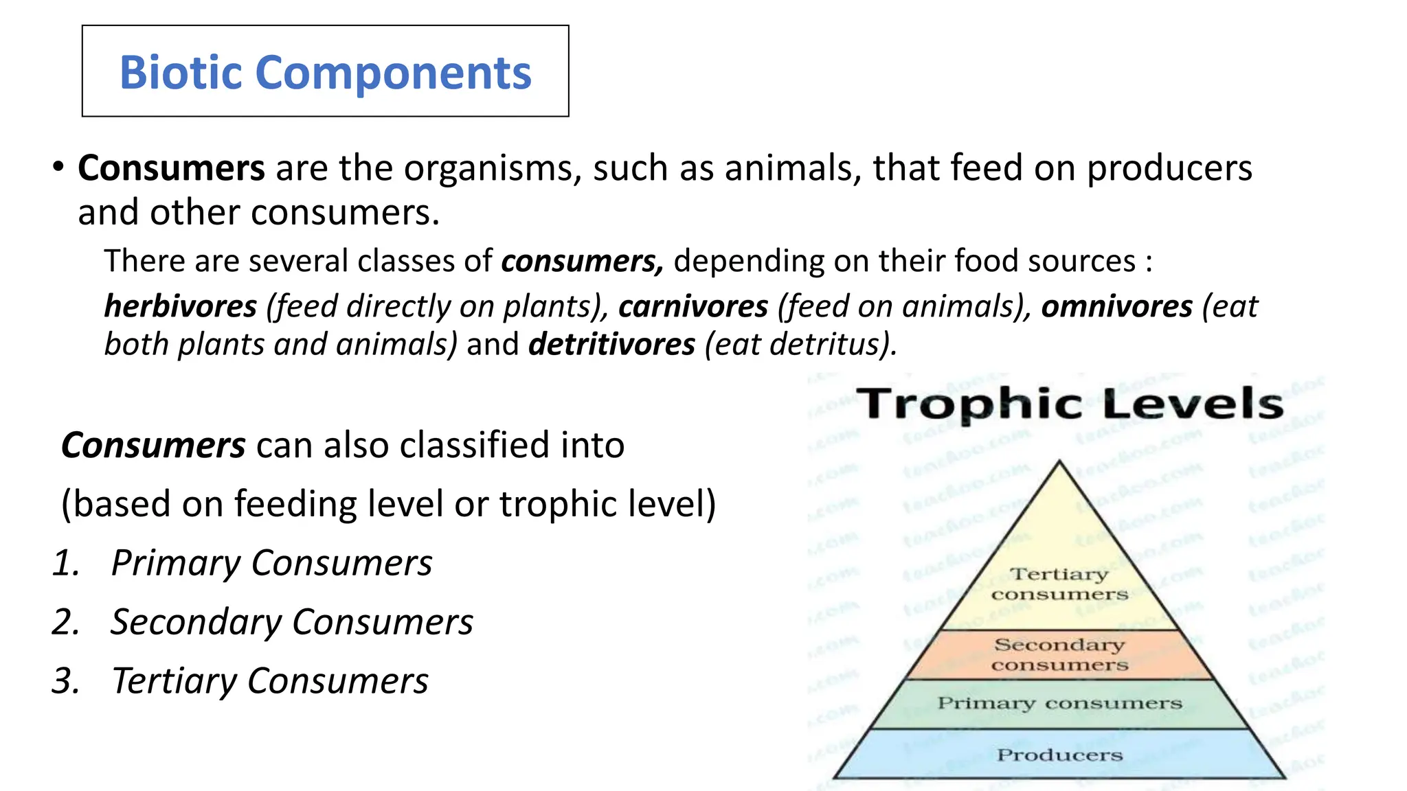 Abiotic and Biotic Components of Ecosystem by Ashish Verma.pptx