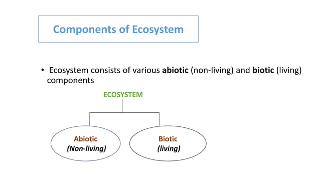 Abiotic and Biotic Components of Ecosystem by Ashish Verma.pptx