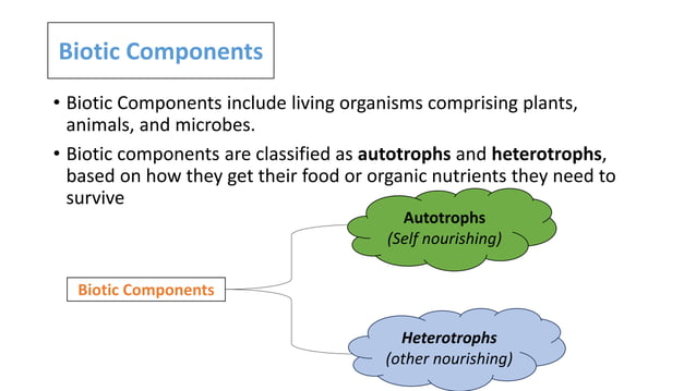 Abiotic and Biotic Components of Ecosystem by Ashish Verma.pptx