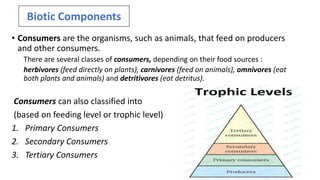Abiotic and Biotic Components of Ecosystem by Ashish Verma.pptx