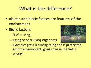 Abiotic and biotic factors | PPTX