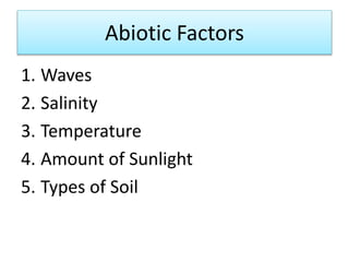 Abiotic and Biotic Factors in Estuaries | PPTX