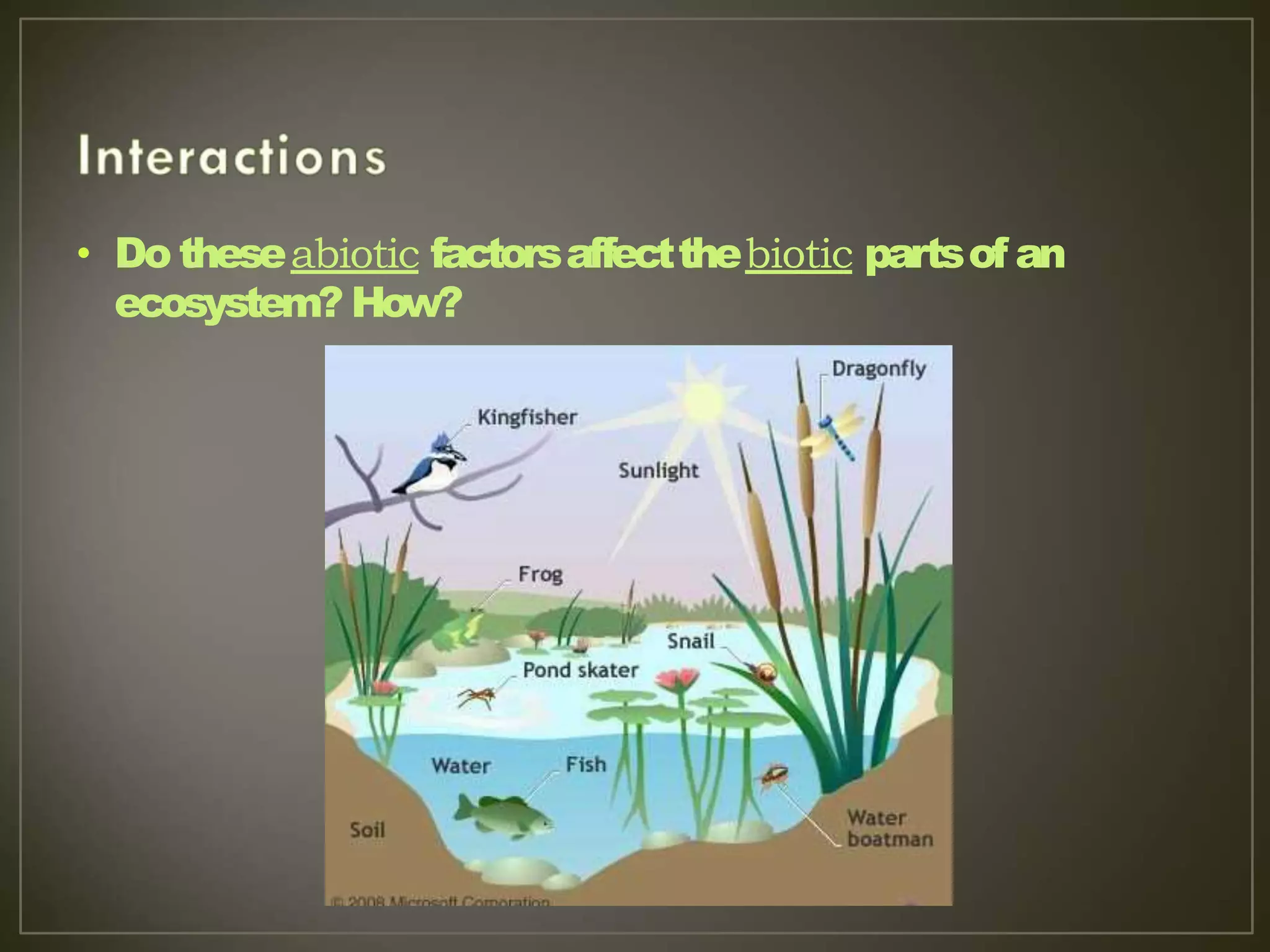 abioticandbioticfactorsppt-170527084832.pptx