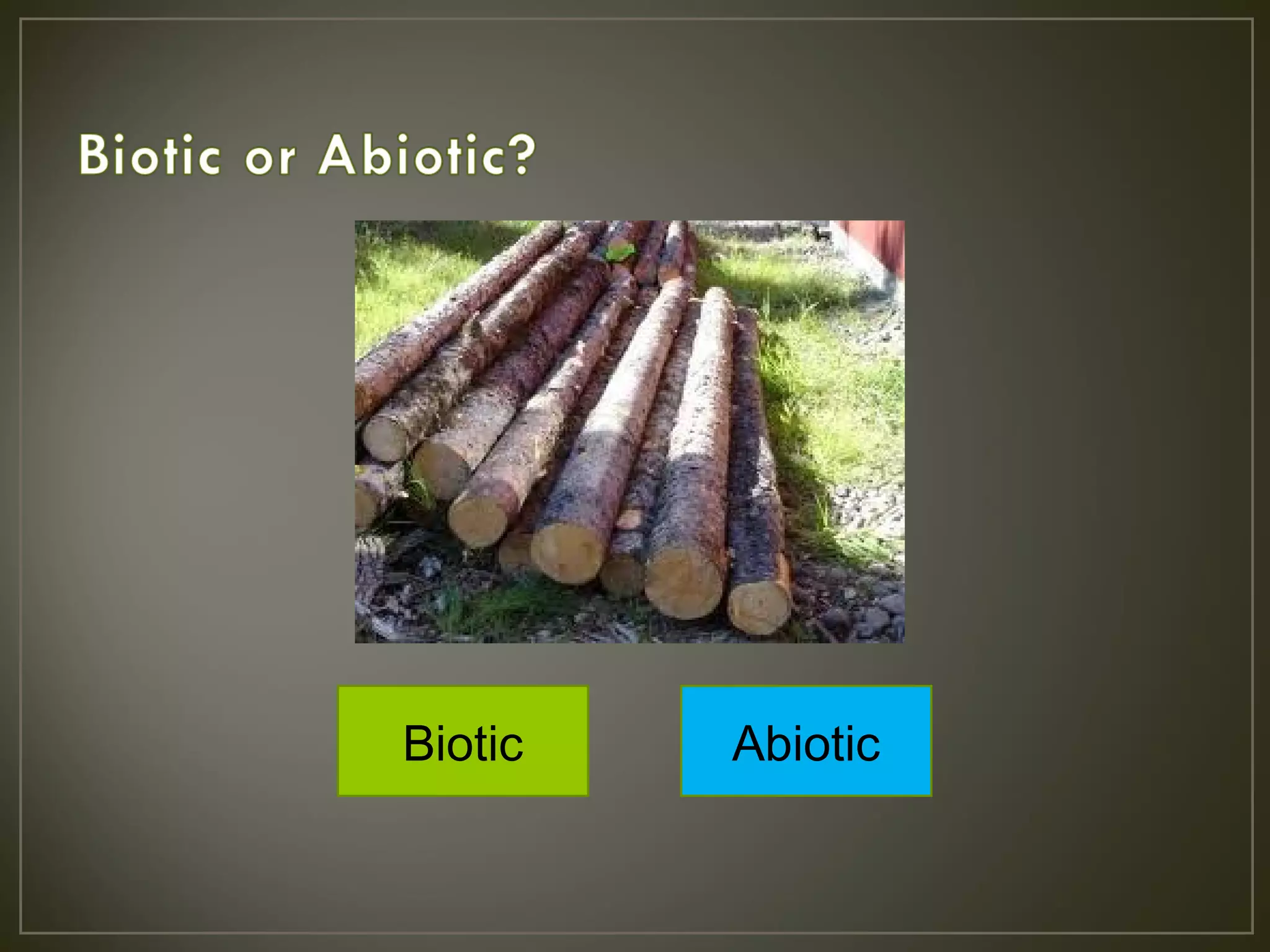 Abiotic and biotic factors ppt | PPT