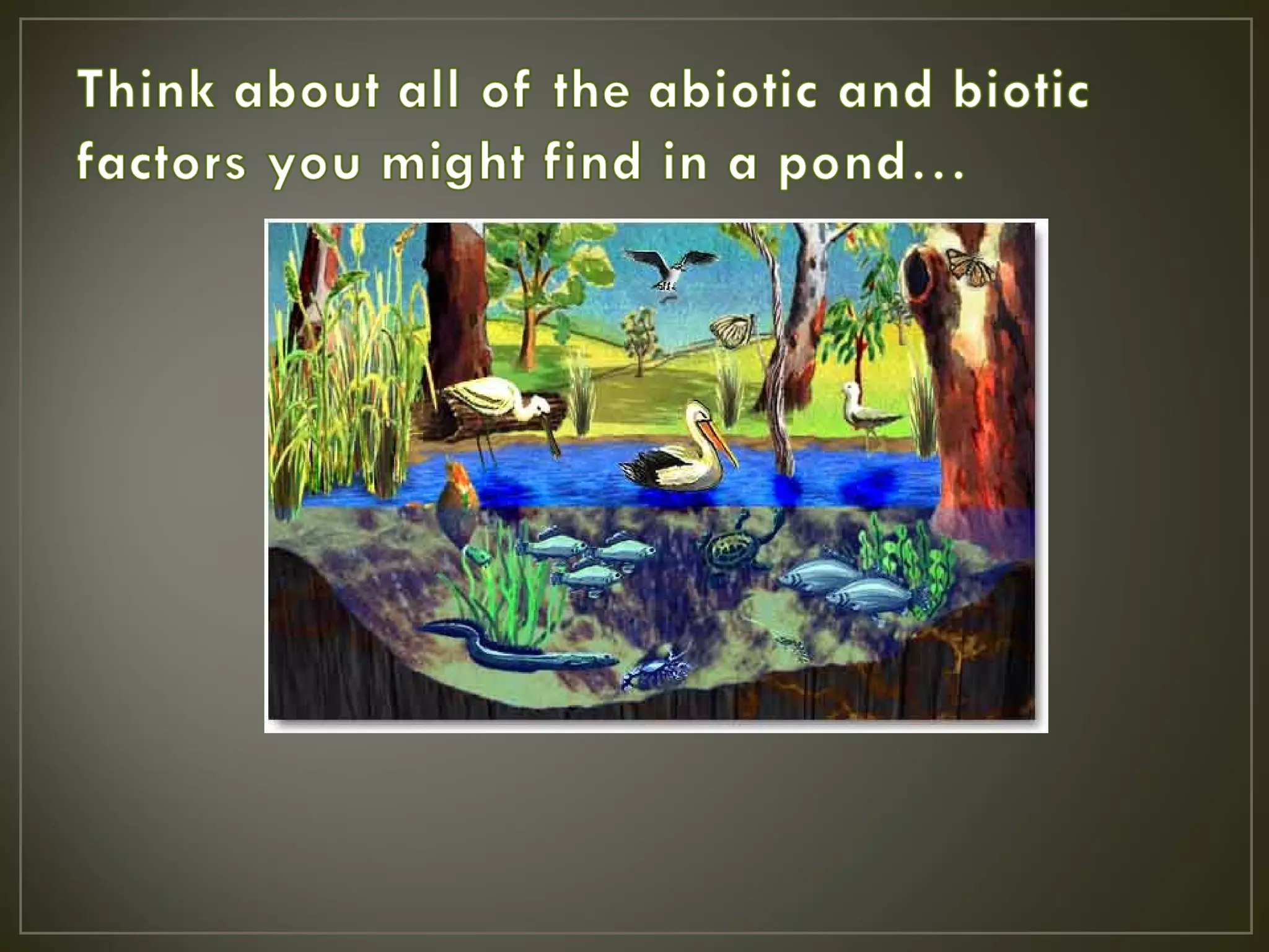 Abiotic and biotic factors ppt | PPT