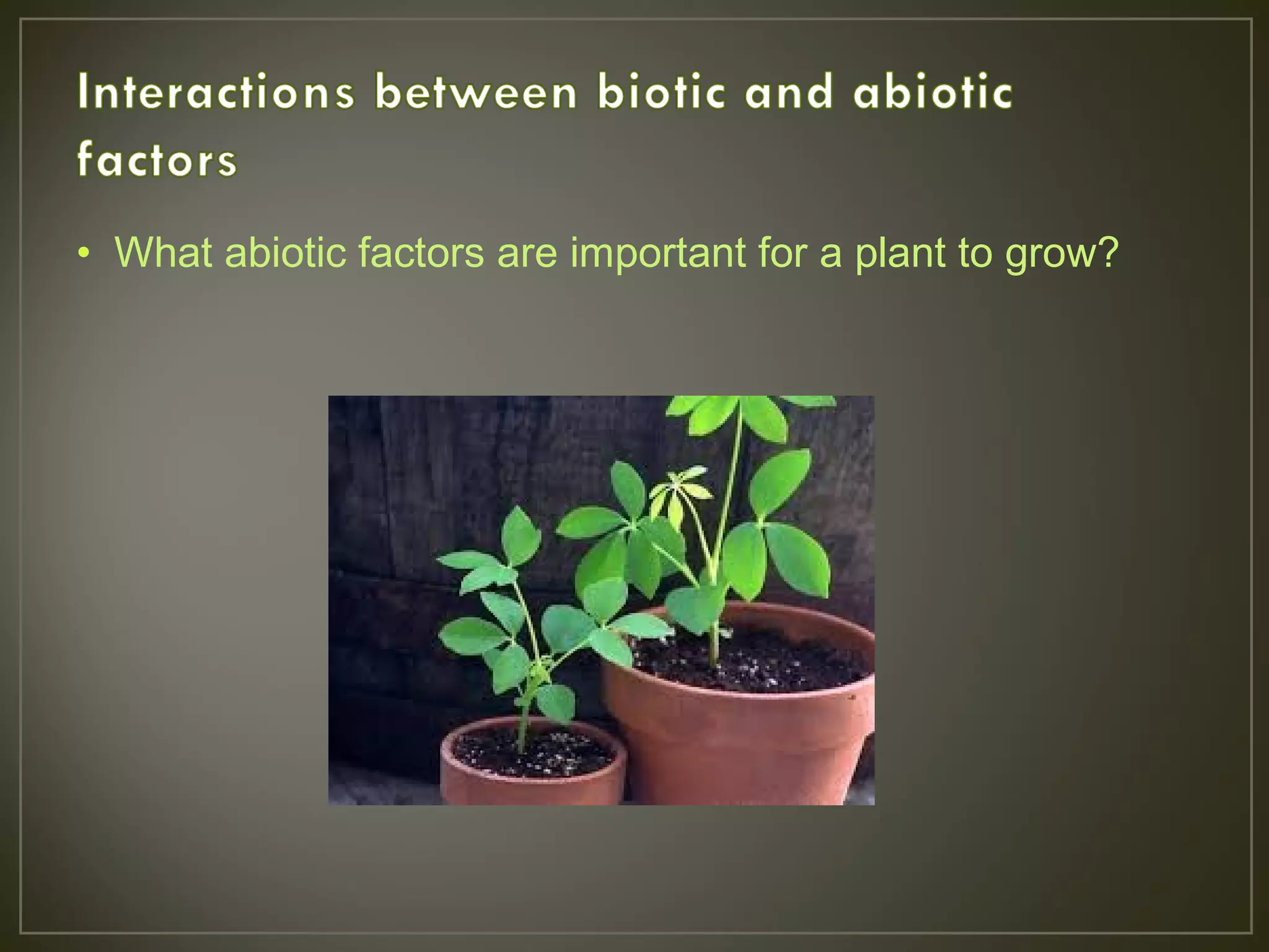 Abiotic and biotic factors ppt | PPT