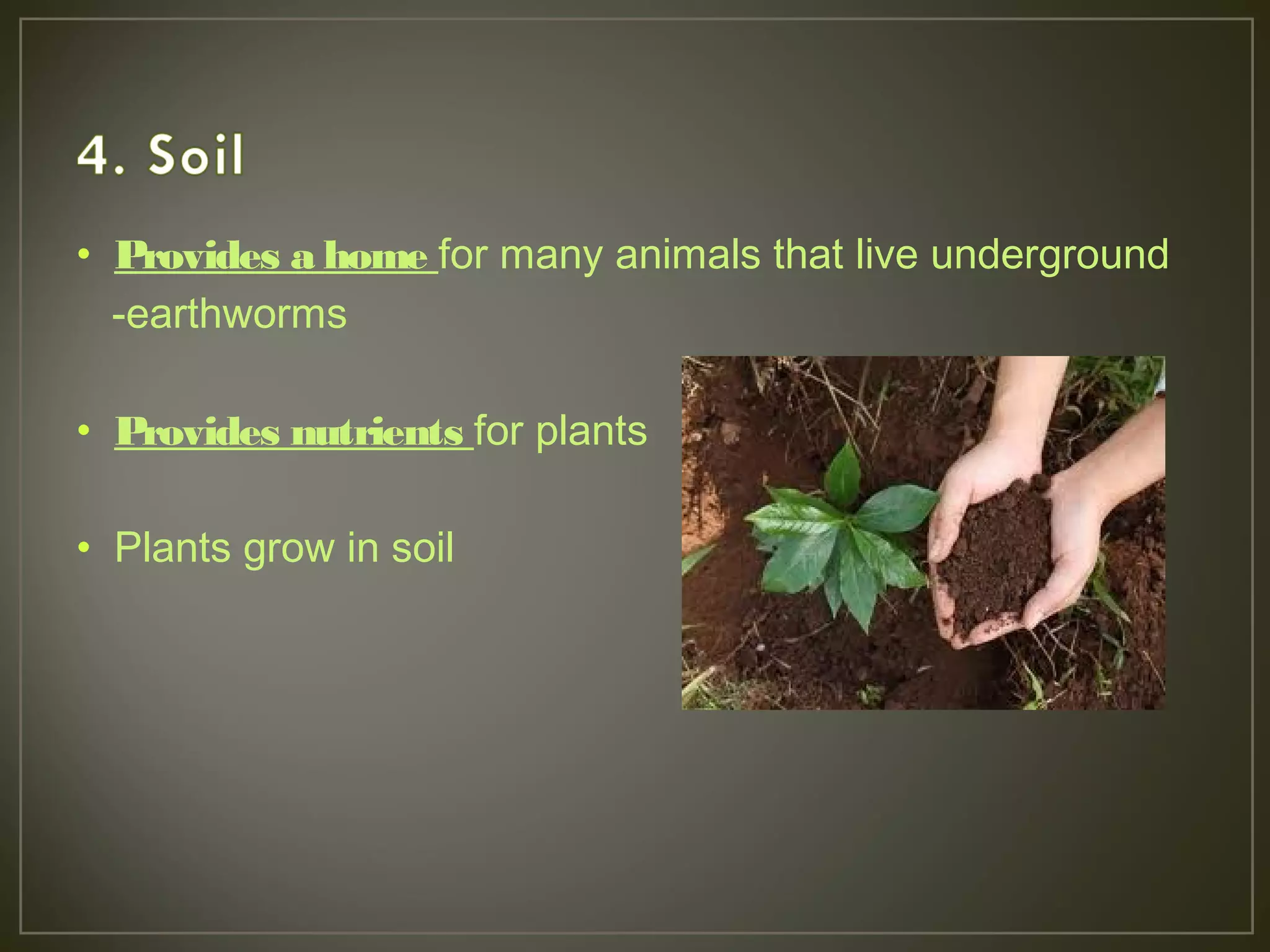 Abiotic and biotic factors ppt | PPT