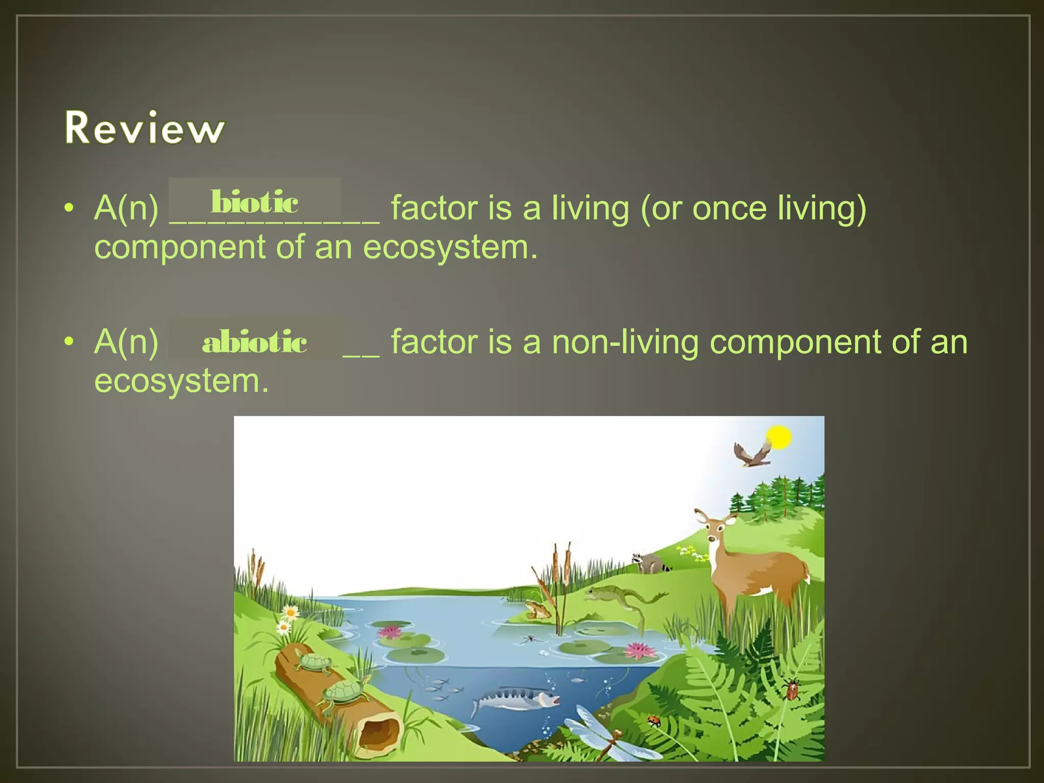 Abiotic and biotic factors ppt | PPT
