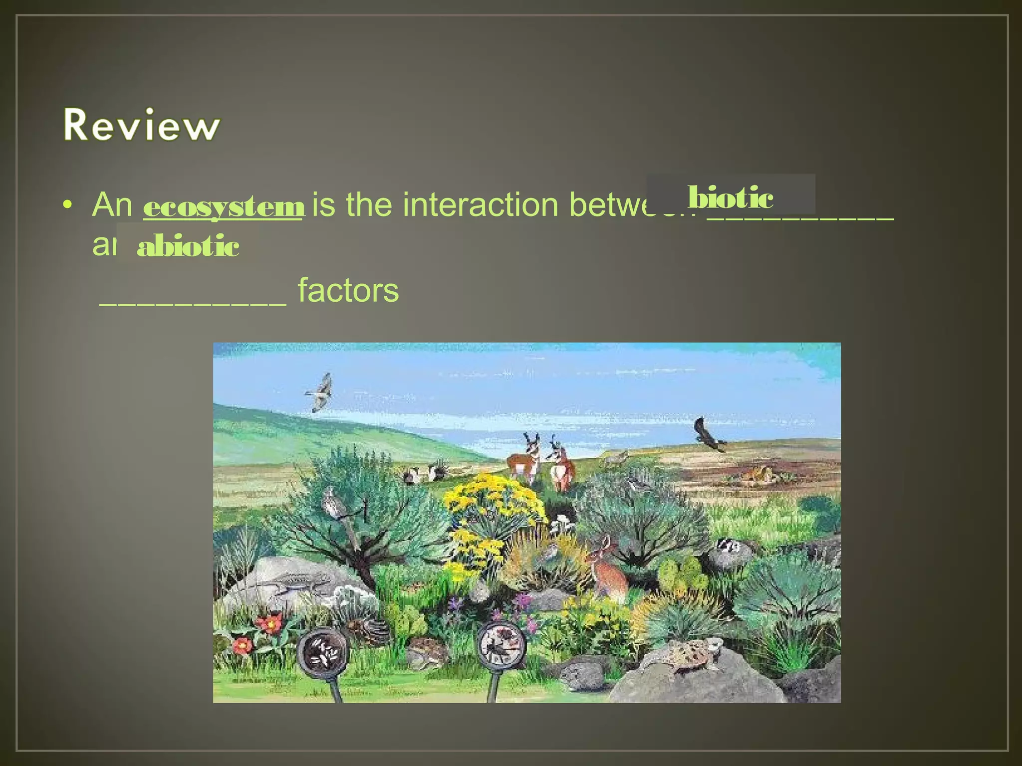 Abiotic and biotic factors ppt | PPT