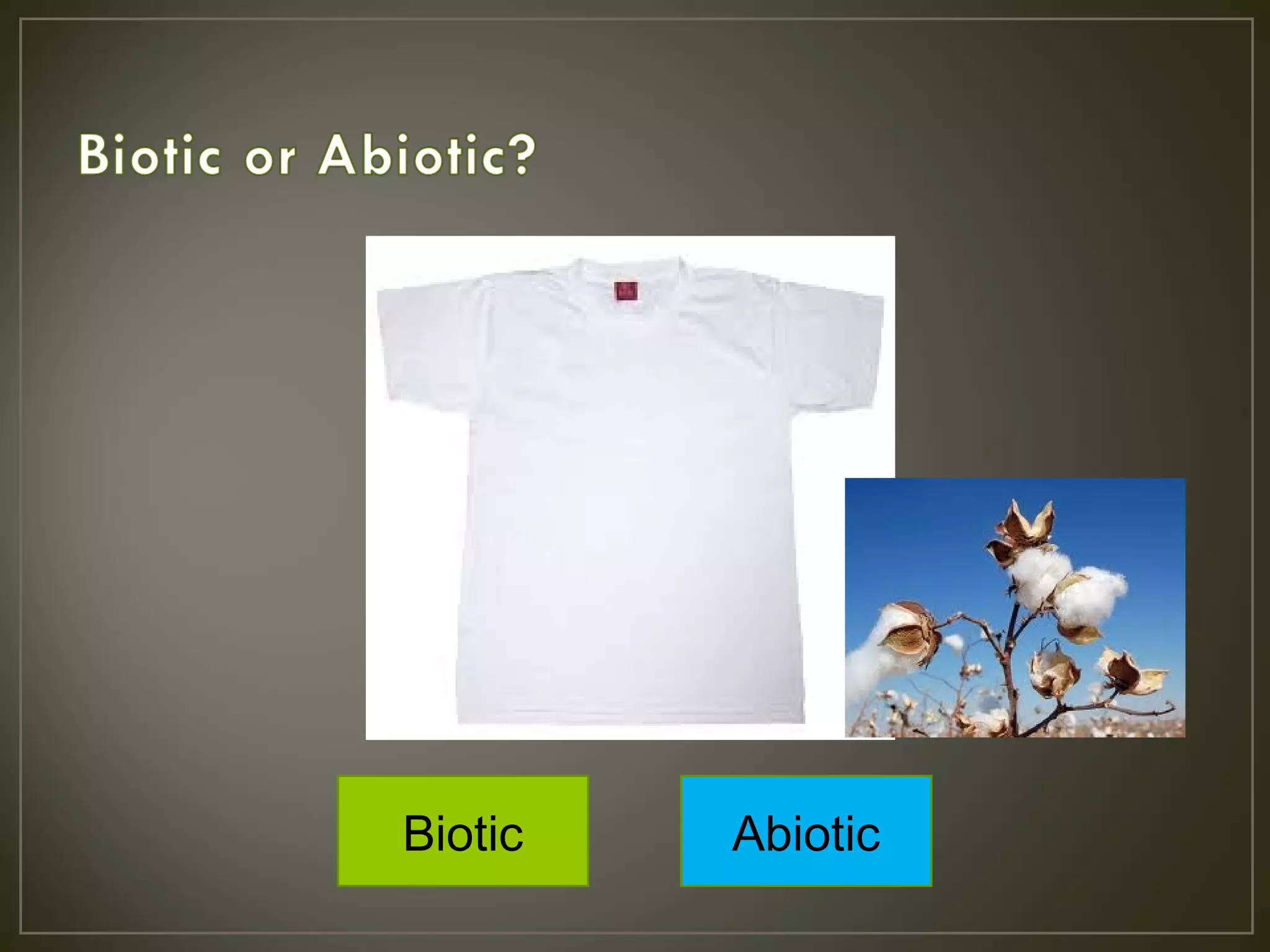 Abiotic and biotic factors ppt | PPT