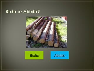 Abiotic and biotic factors ppt | PPT