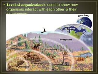 Biotic Factors In An Environment