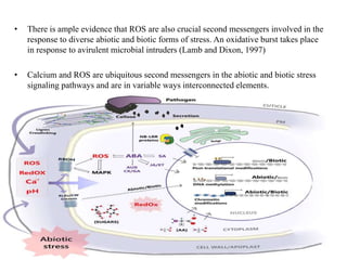 Abiotic and biotic stress response/crosstalk | PPTX