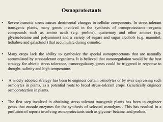 Abiotic approch ppt (1) | PPT
