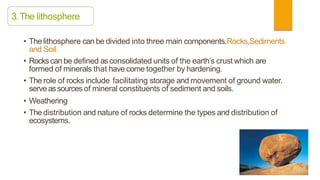 Abiotic & Biotic component of Environment | PPTX