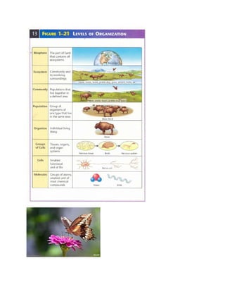 Abiotic components | DOC