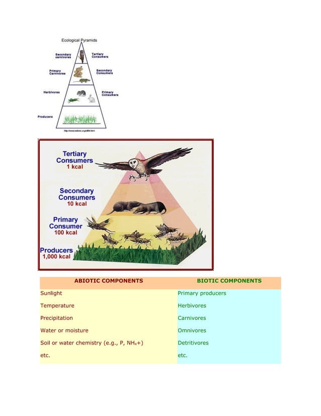 Abiotic components | DOC