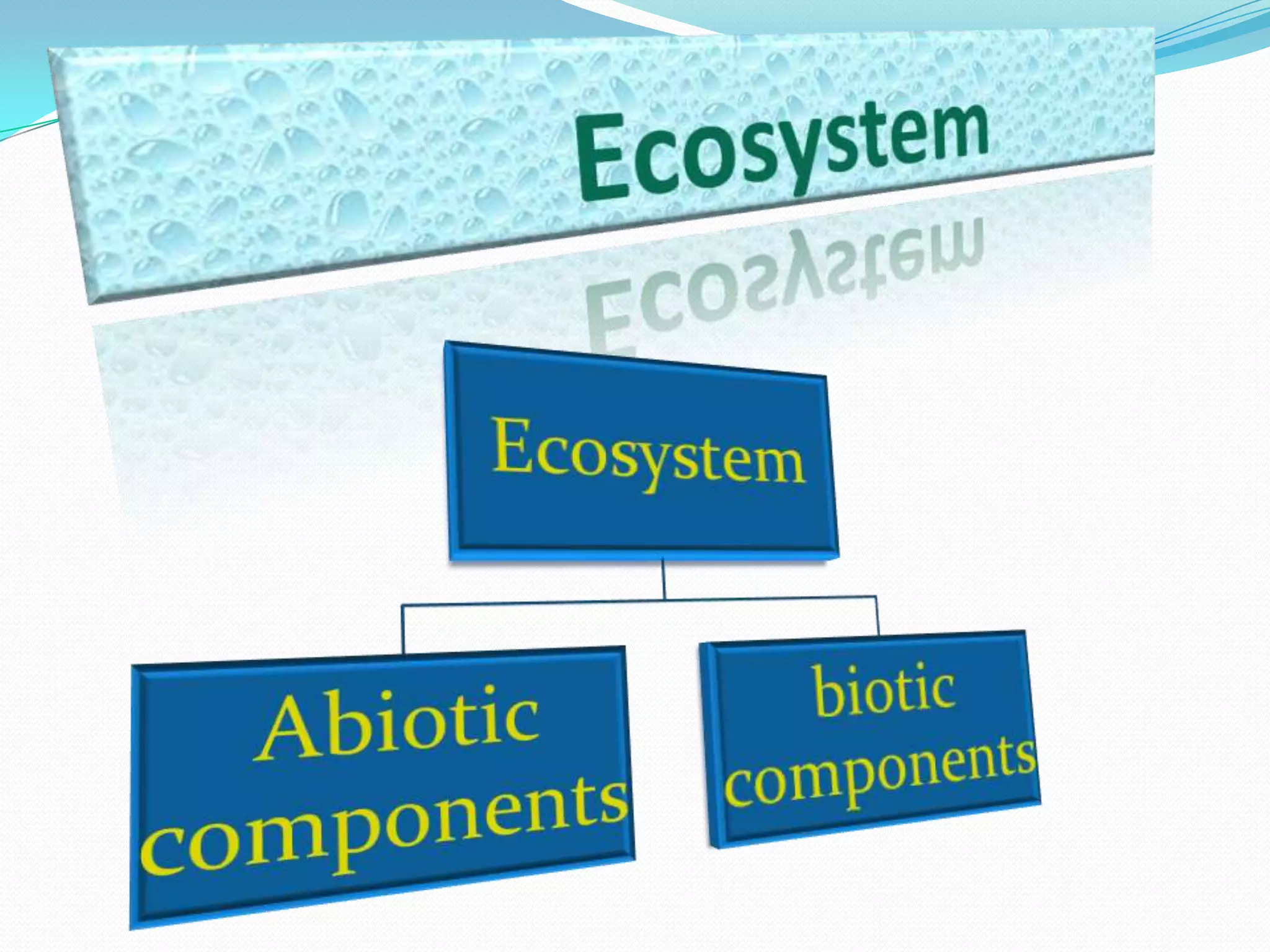 Abiotic components | PPTX