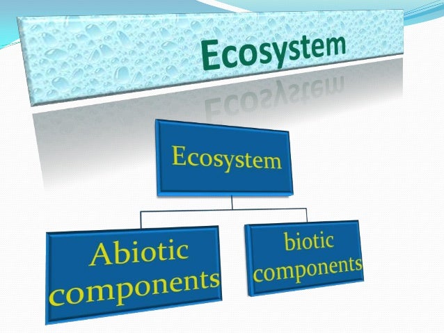Abiotic components