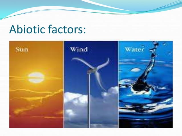 Abiotic components | PPTX
