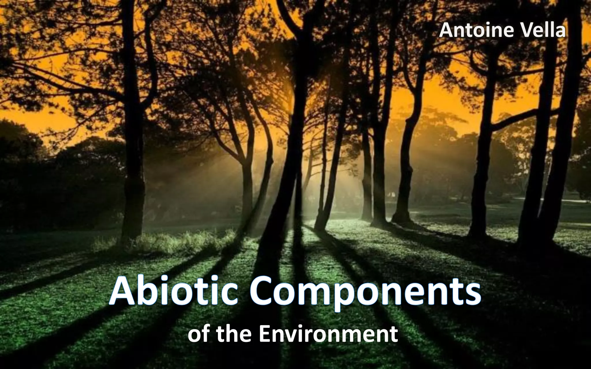 Abiotic components of the environment | PDF | Gardening | Home & Garden