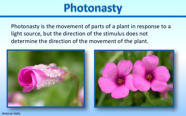 Abiotic components of the environment