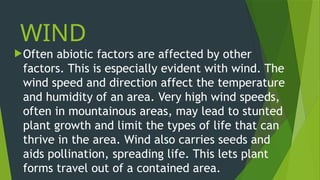 Abiotic Factor.pptxMNKJNKJNBBBBBBBBB B | PPT