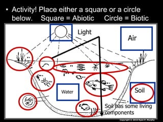 Ecology Abiotic, Non-living Factors, Light, Temperature, Mositure, Soil ...