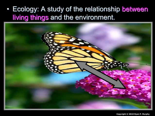 Ecology Abiotic, Non-living Factors, Light, Temperature, Mositure, Soil ...