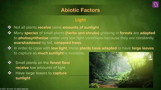 Abiotic Factors. (2).pdf