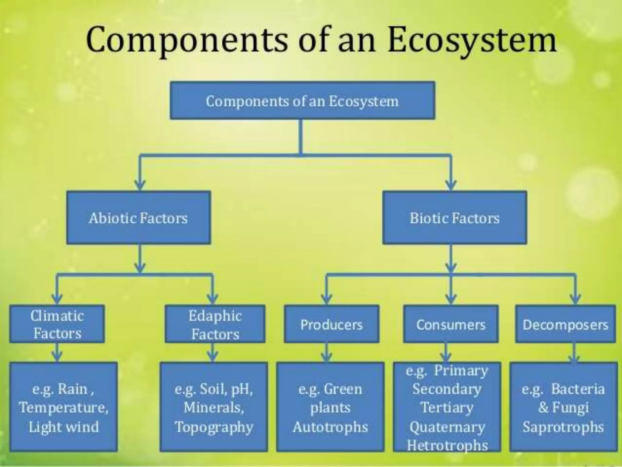 Abiotic factors final ppt | PPTX