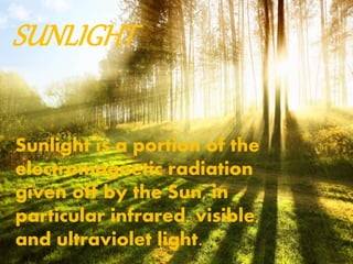 Abiotic factors final ppt | PPTX