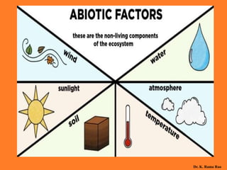 Abiotic factors in an ecosystem | PPTX