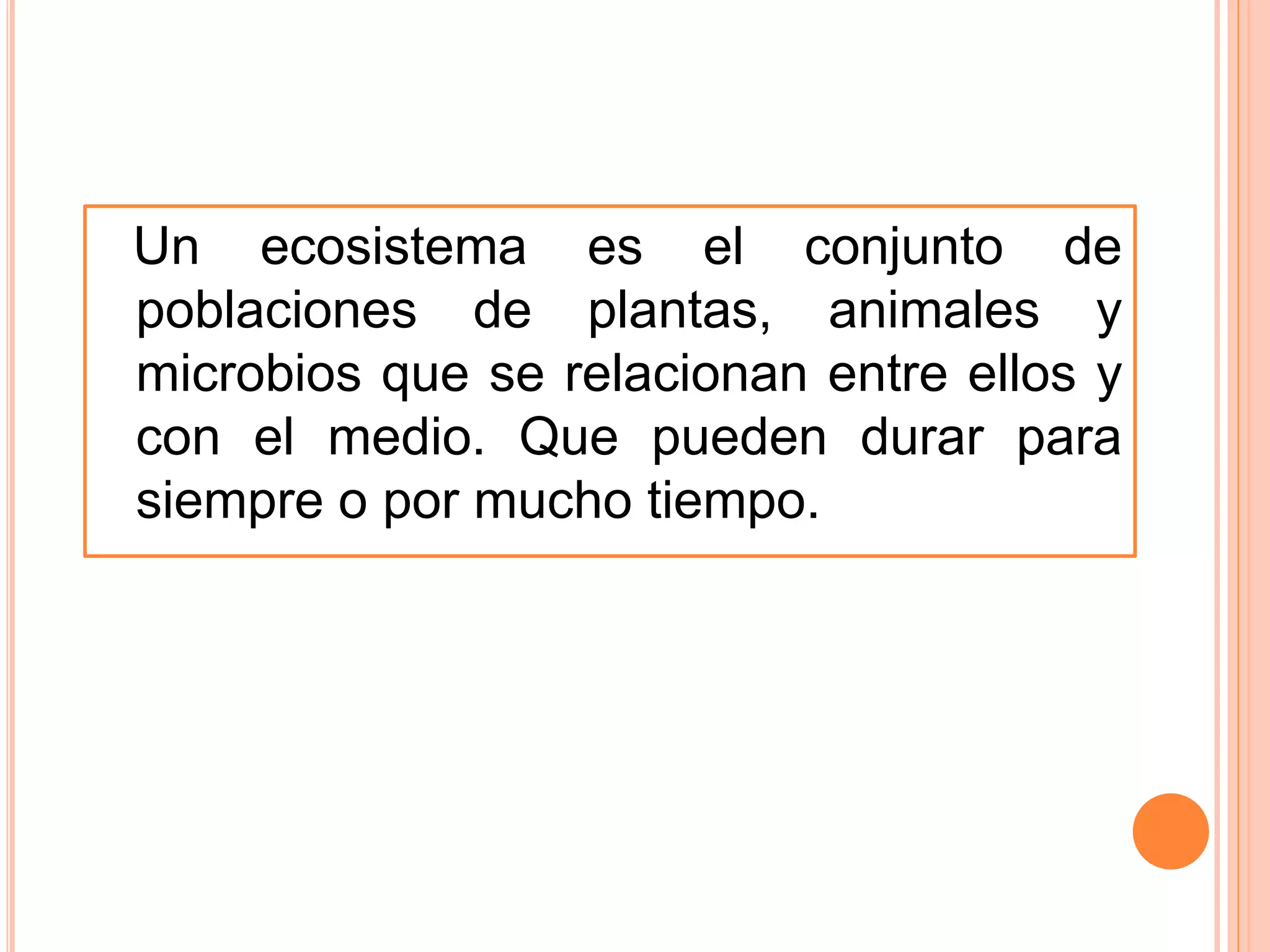 El ecosistema y sus interacciones | PPTX