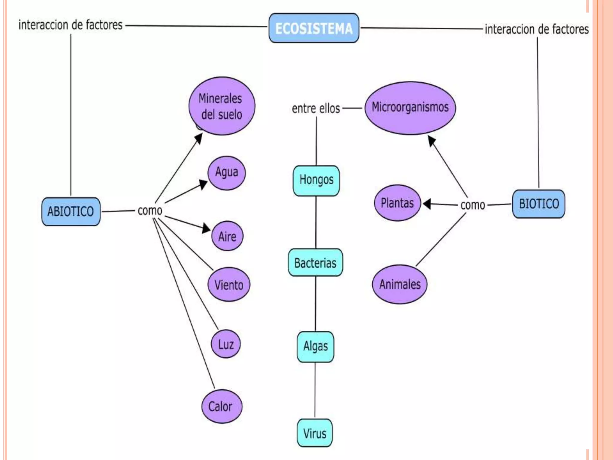 El ecosistema y sus interacciones | PPTX